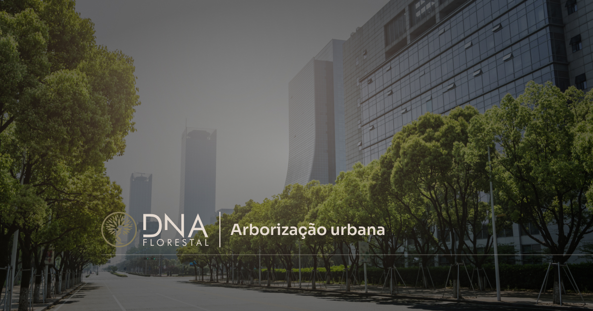 Arborização urbana | DNA Florestal